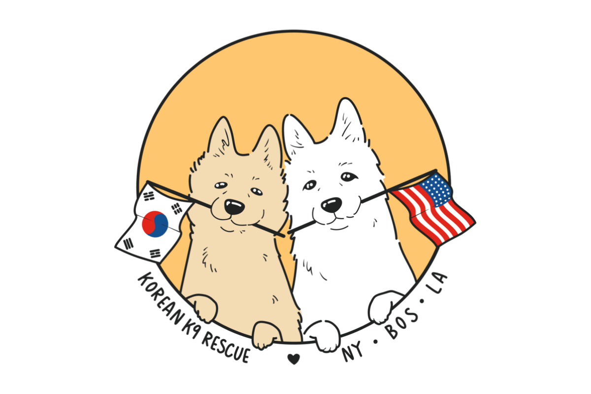 vfgty | Official Merchandise | Bonfire