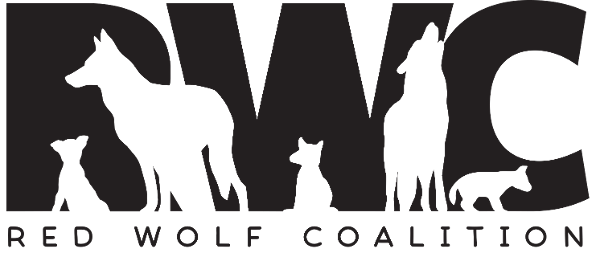 Red Wolf Week | Bonfire